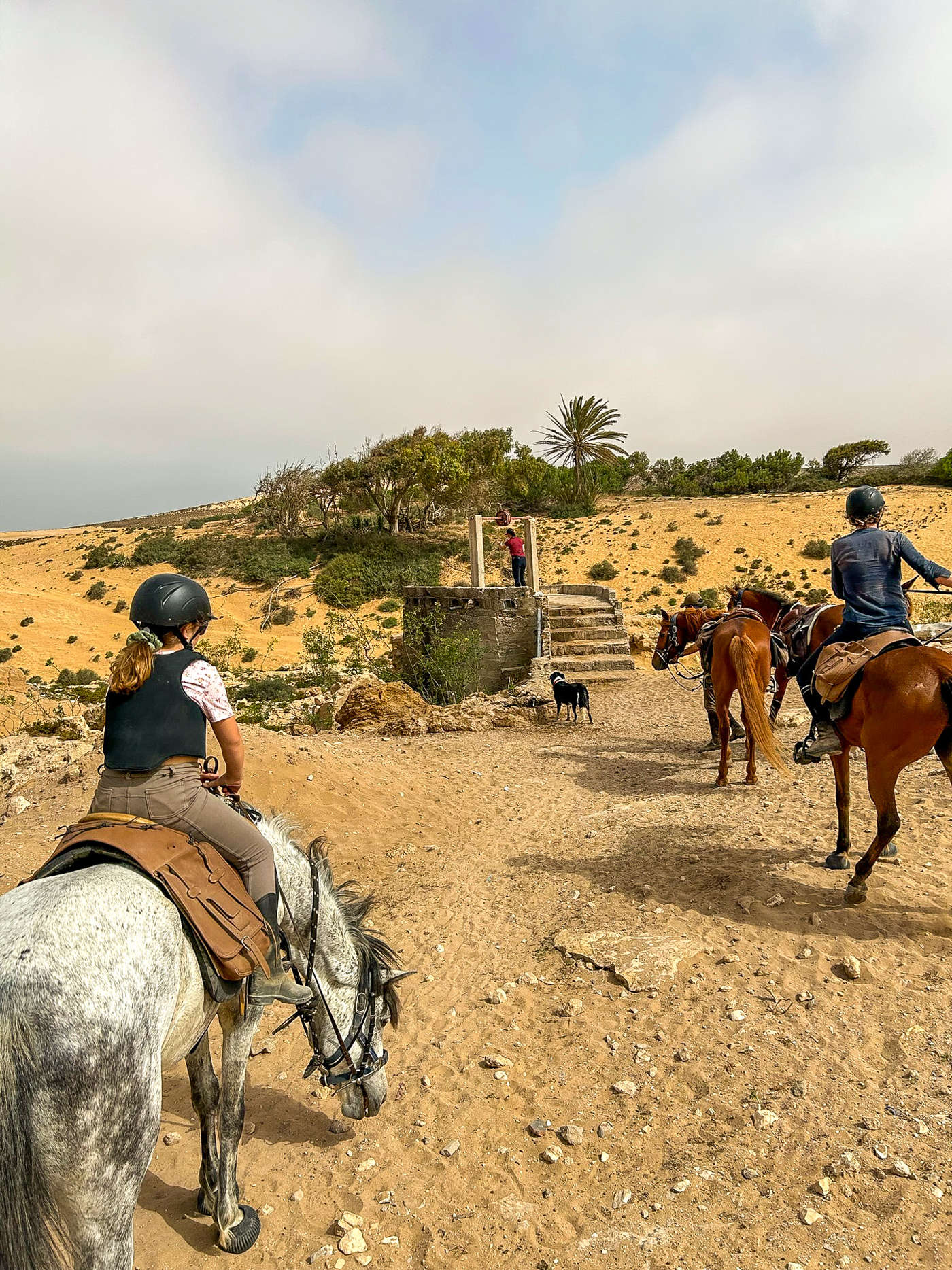 Rando équestre sur les côtes de l'Atlantique du Maroc