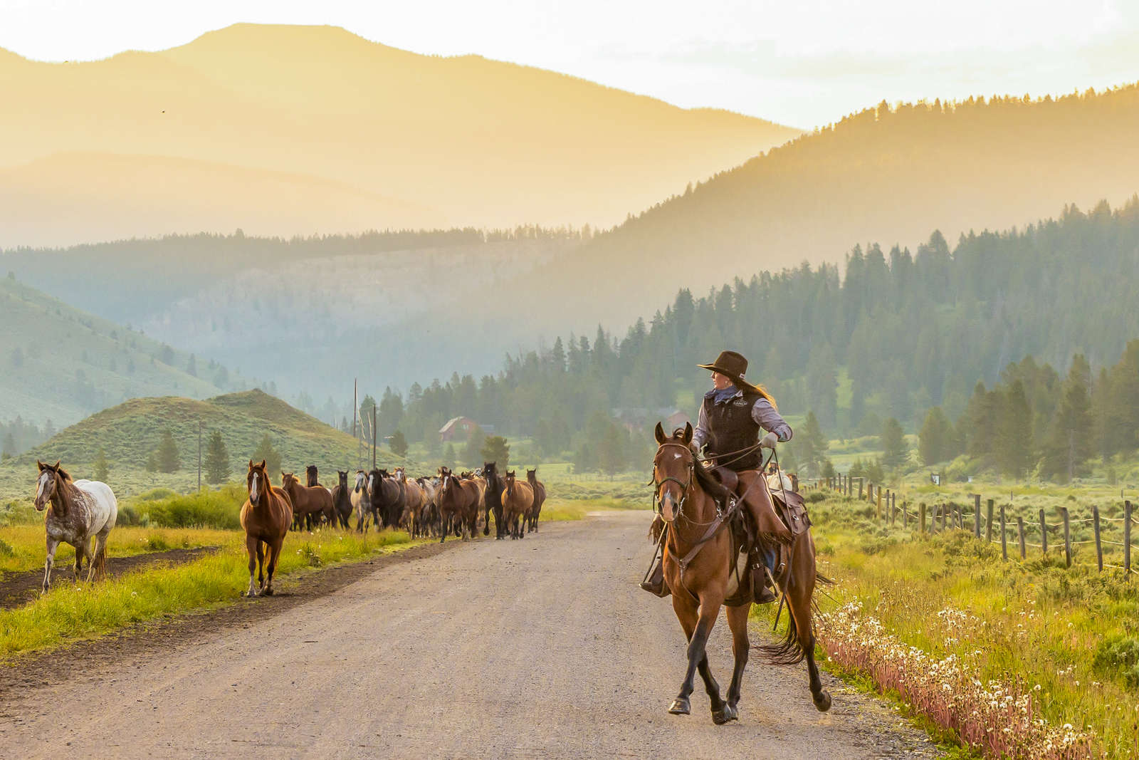 Séjour Ranch, familial dans le Montana aux États-Unis | Cheval d'Aventure