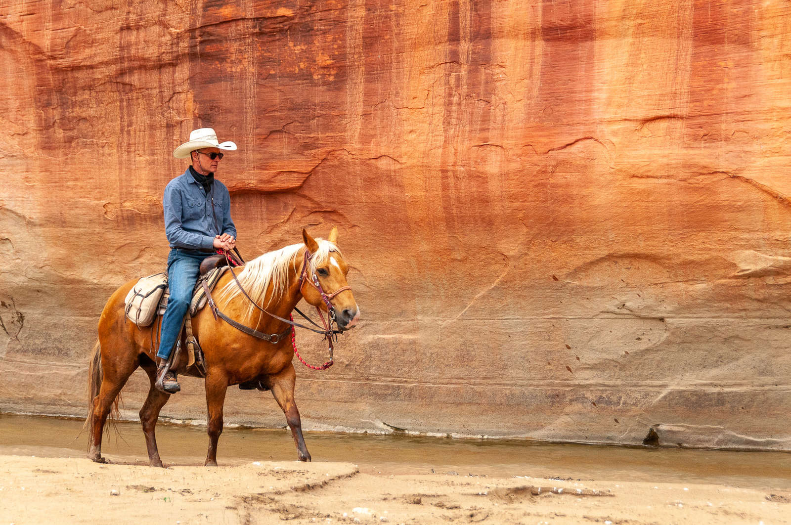 Rando à cheval aux Etats Unis dans les grands parcs | Cheval d'Aventure