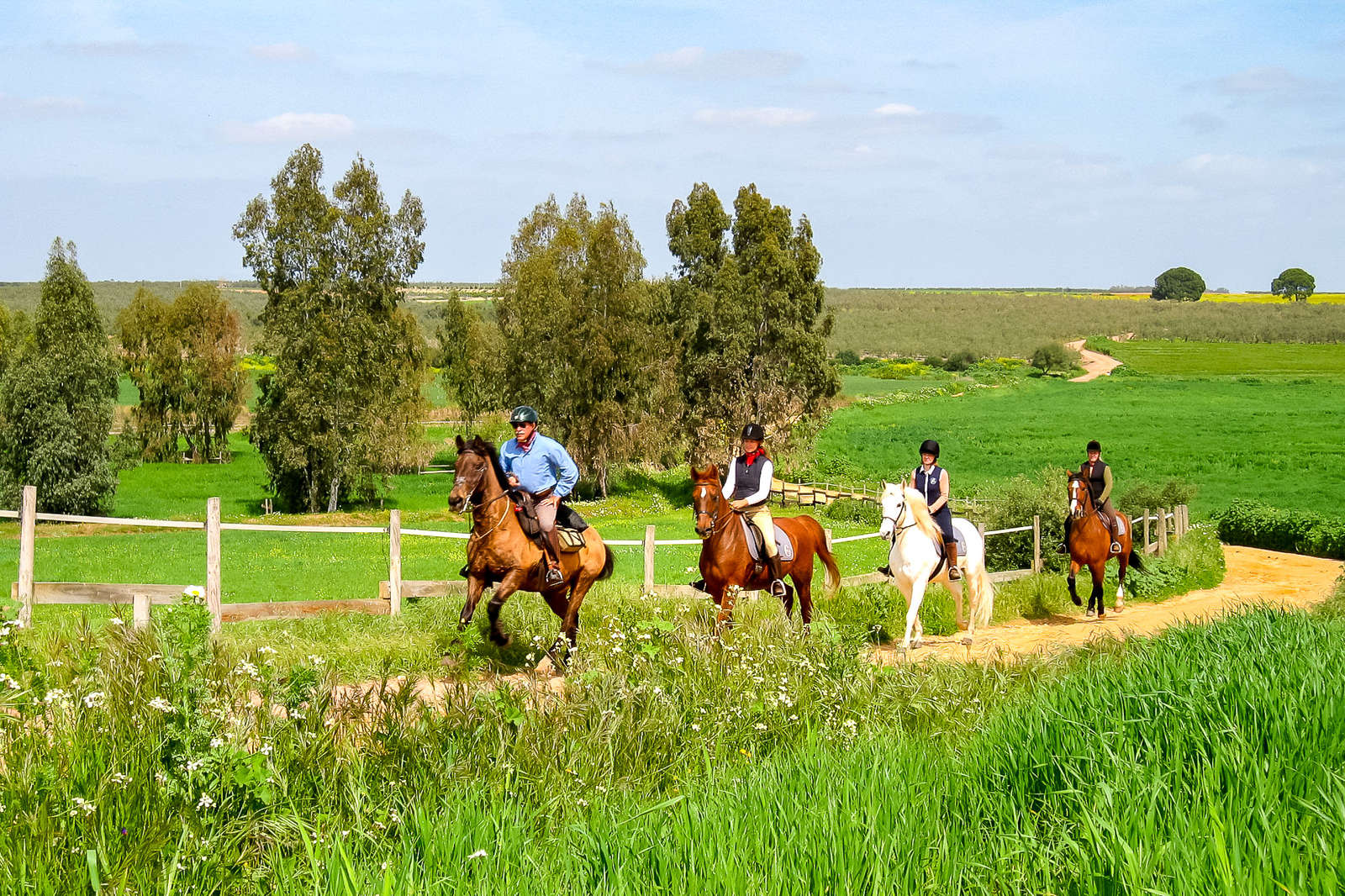 Séjour équestre avec dressage en Andalousie en Espagne