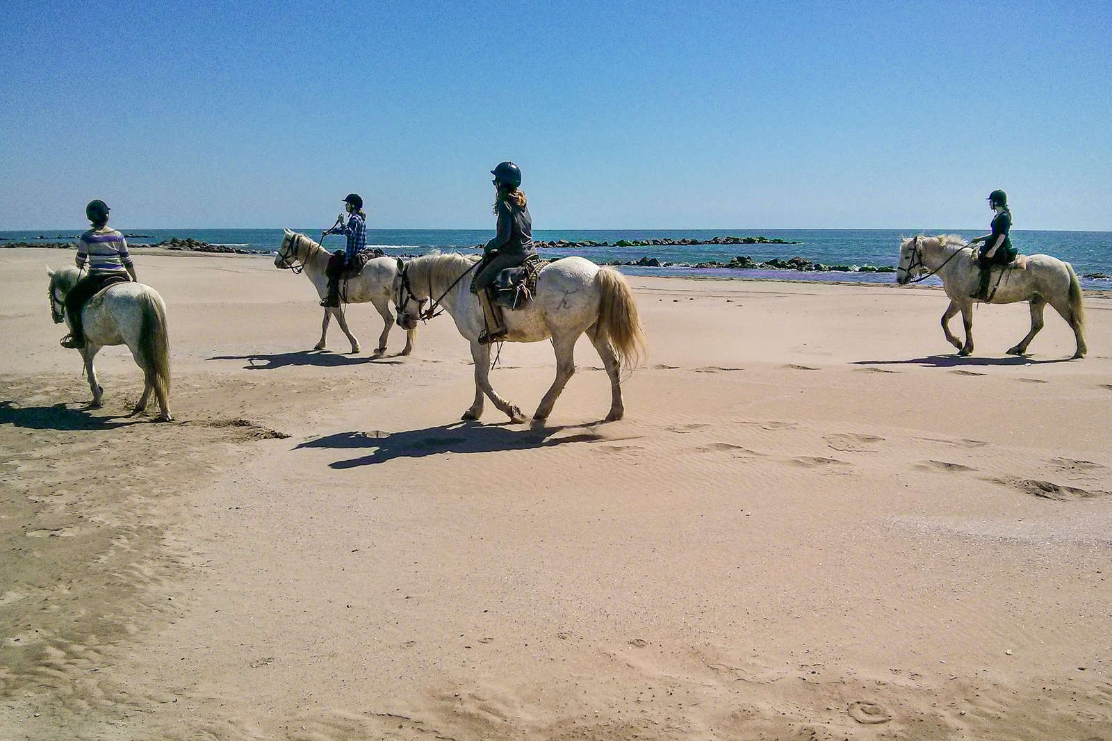 Séjour équestre à cheval sur les plages de Camargue | Cheval d'Aventure