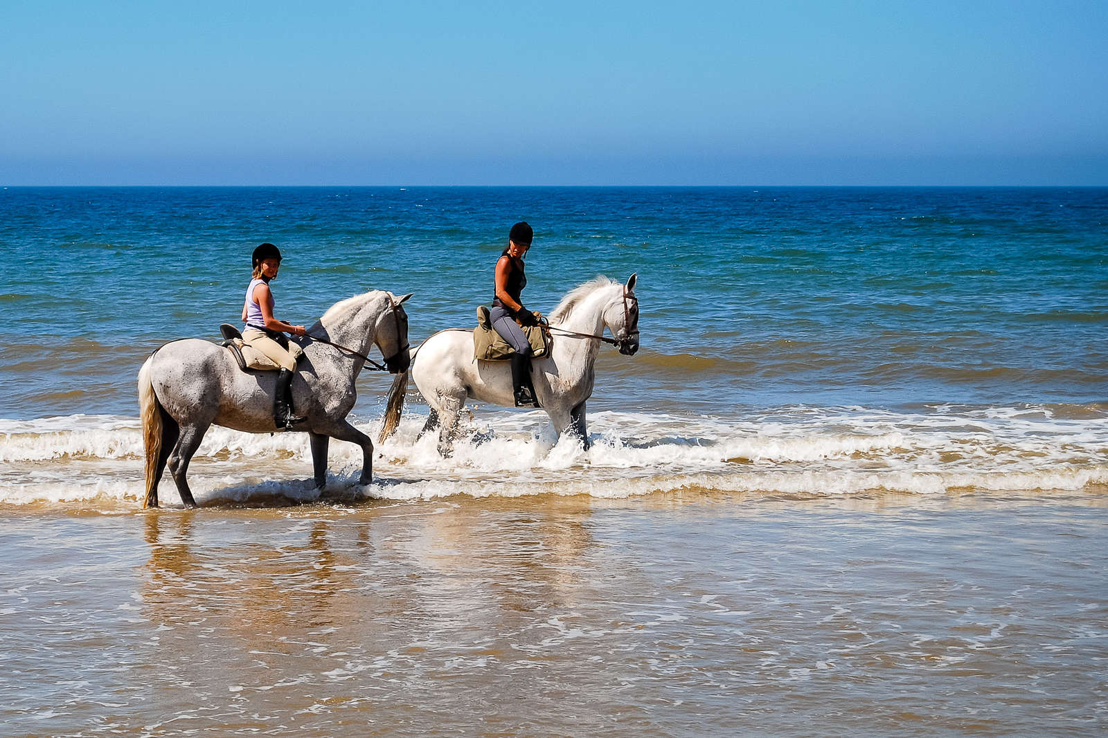 Séjour équestre avec dressage en Andalousie en Espagne