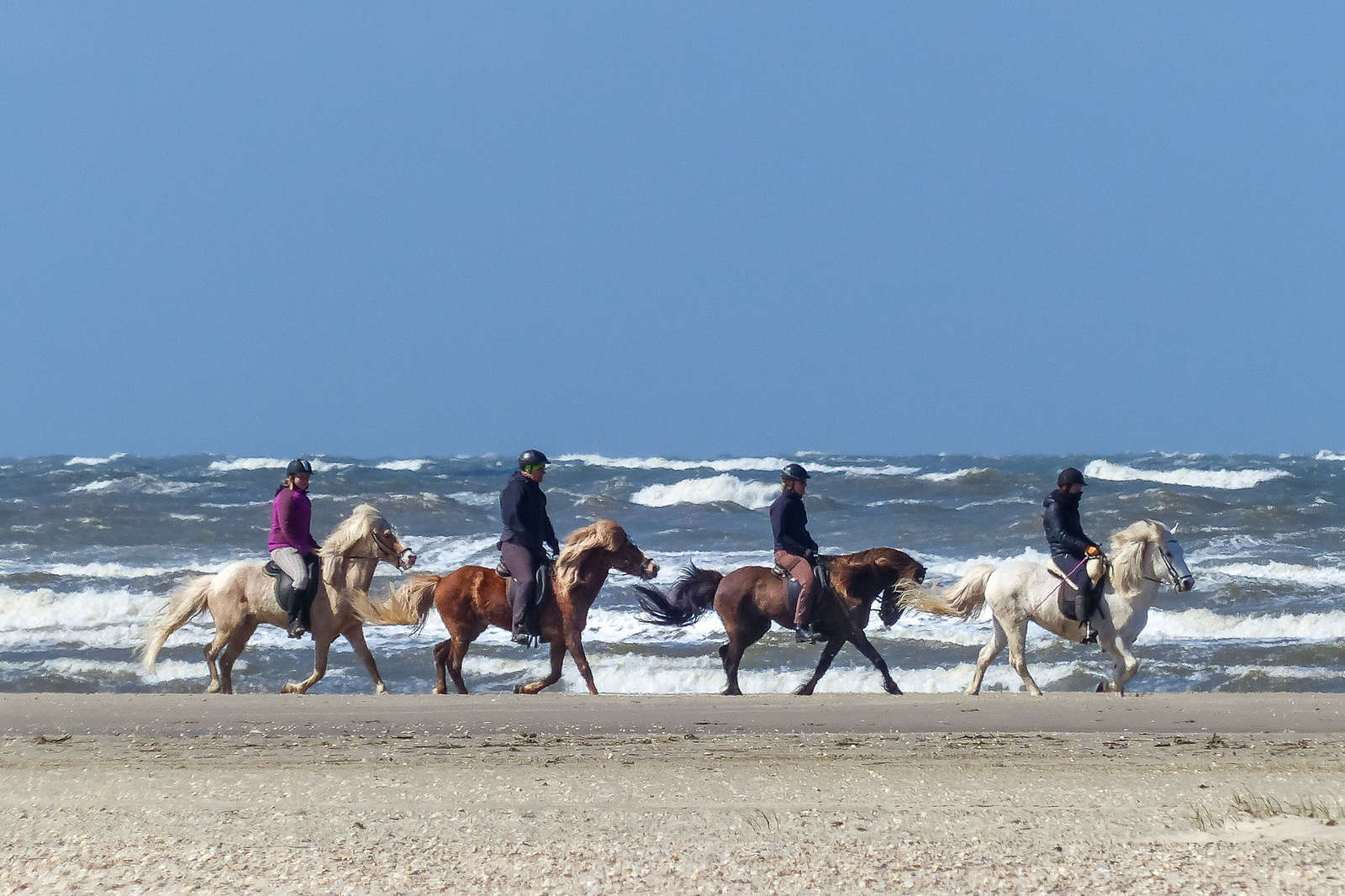 Séjour équestre sur l'île de Romo au cœur du Danemark | Cheval d'Aventure