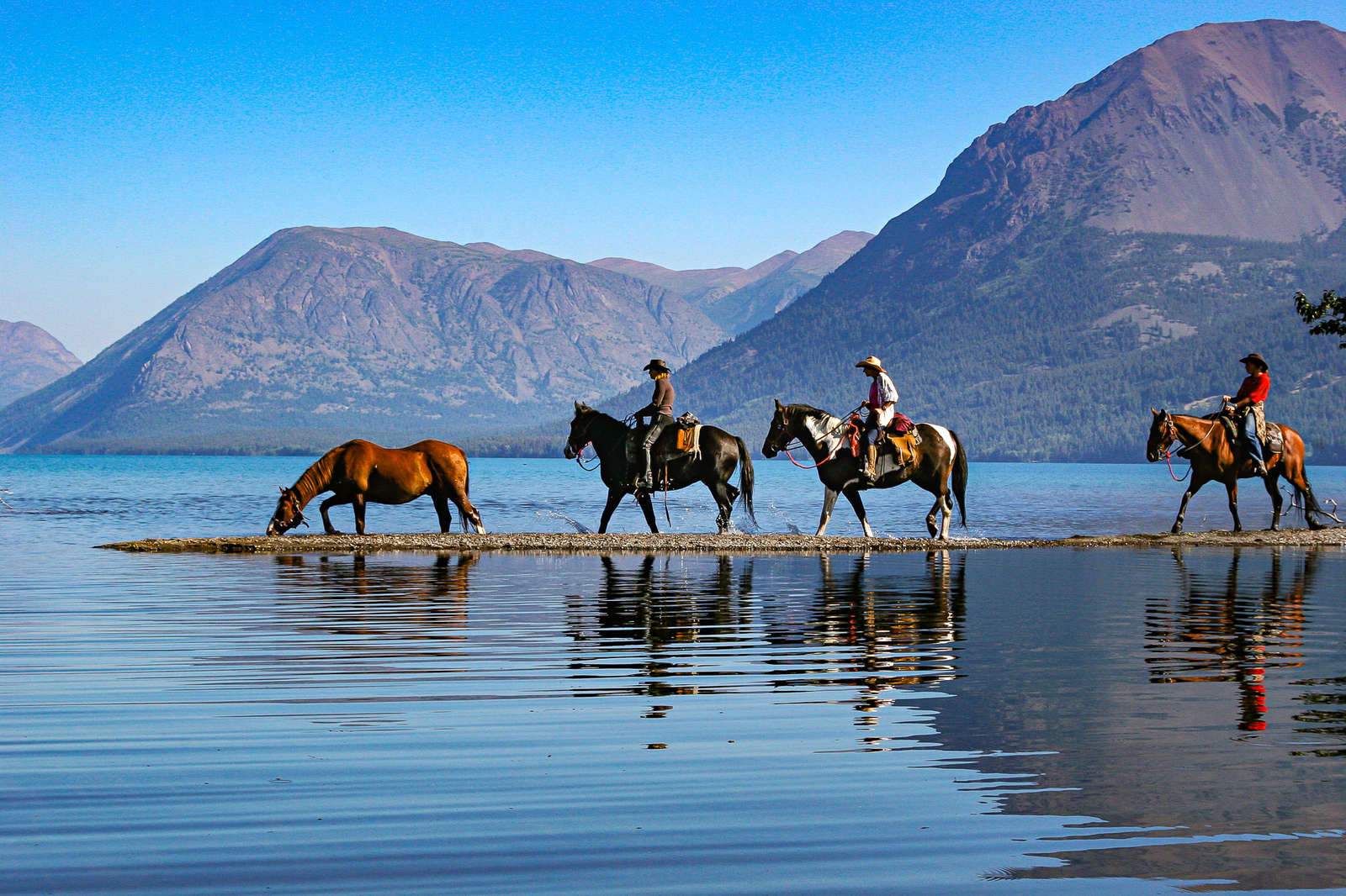 Randonnées à cheval dans l'ouest du Canada | Cheval d'Aventure