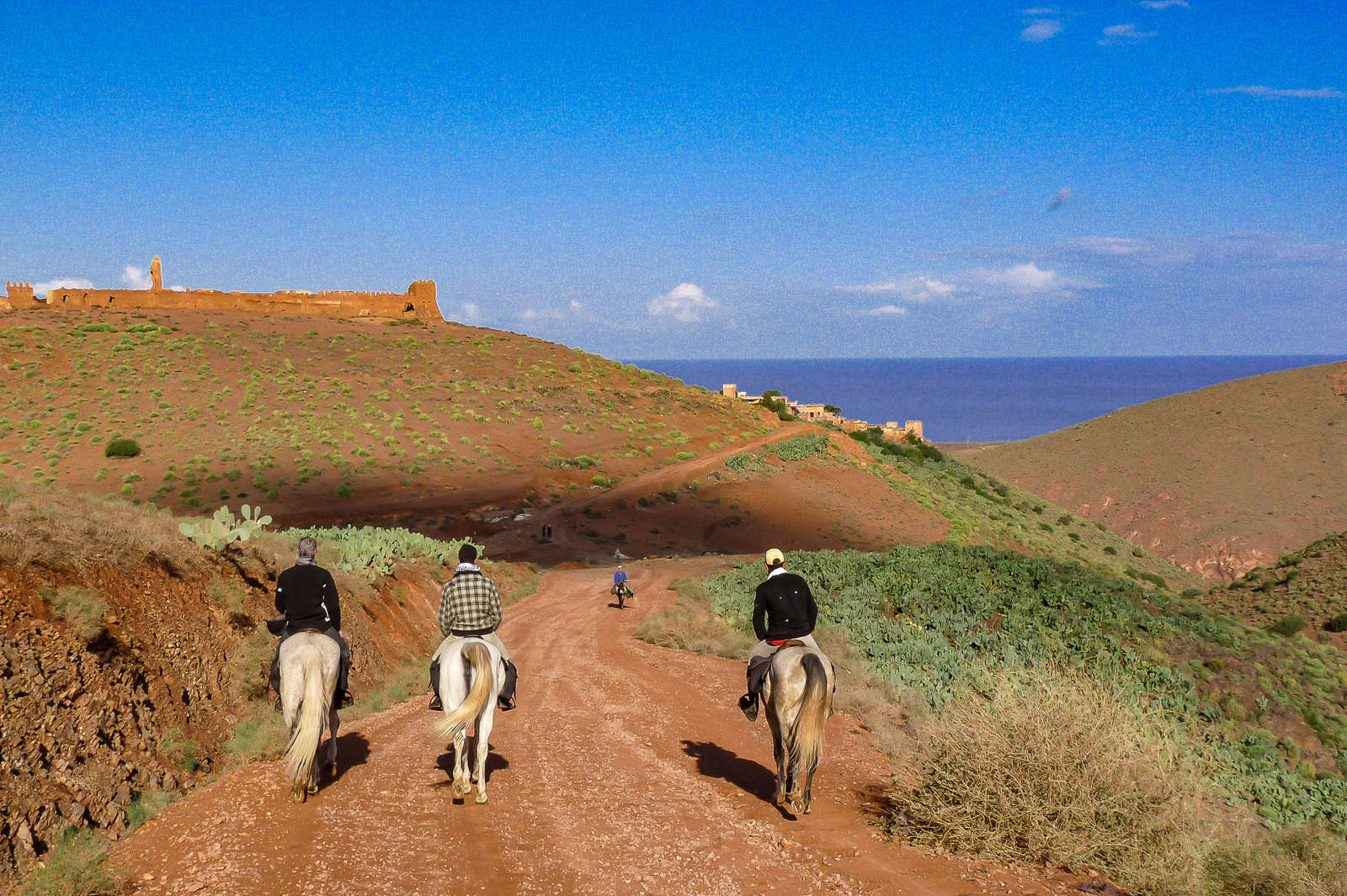 Séjour équestre et randonnée à cheval au Maroc Atlas | Cheval d'Aventure