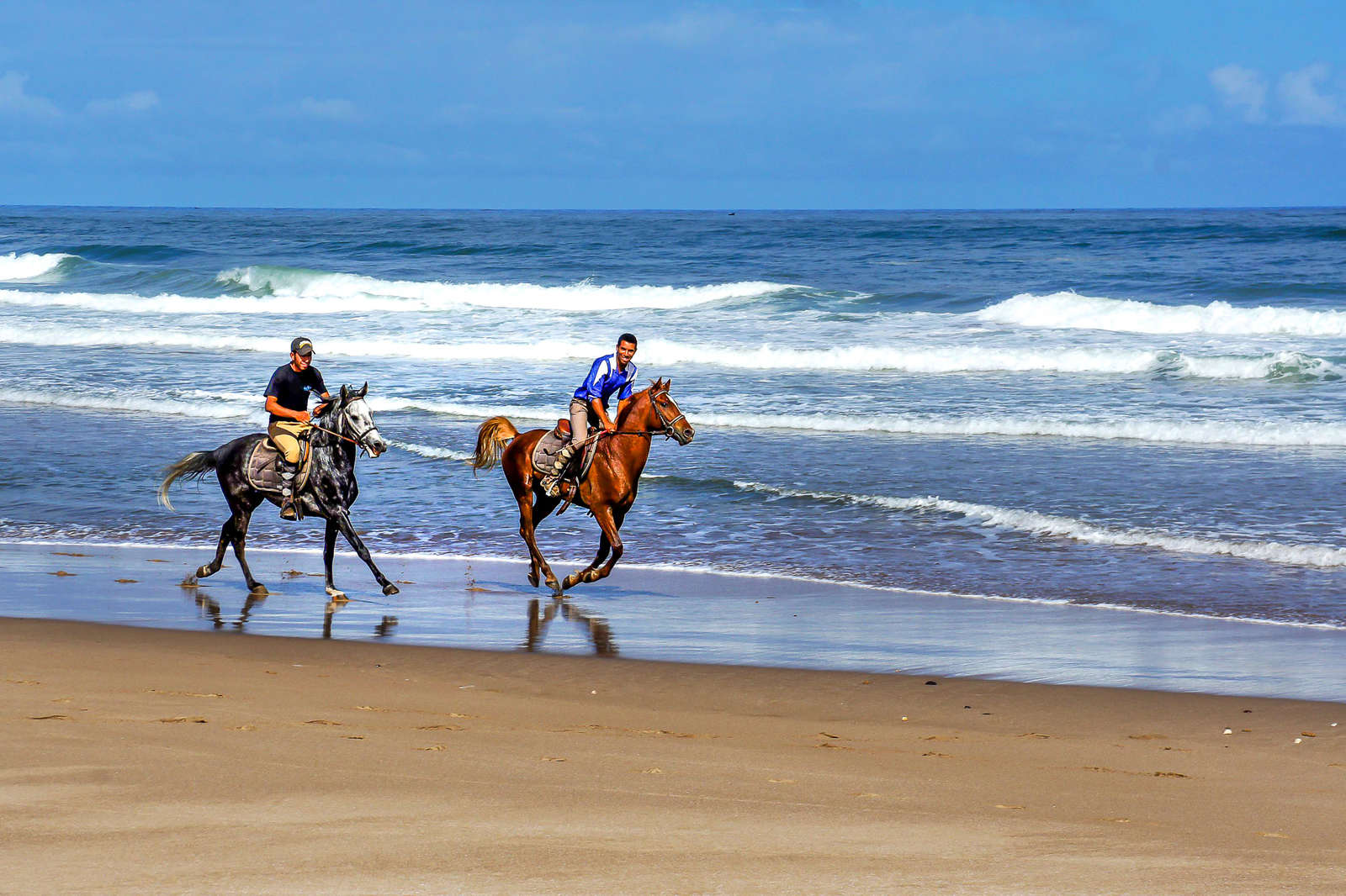 Séjour équestre flexible dans un ranch au sud du Maroc | Cheval d'Aventure