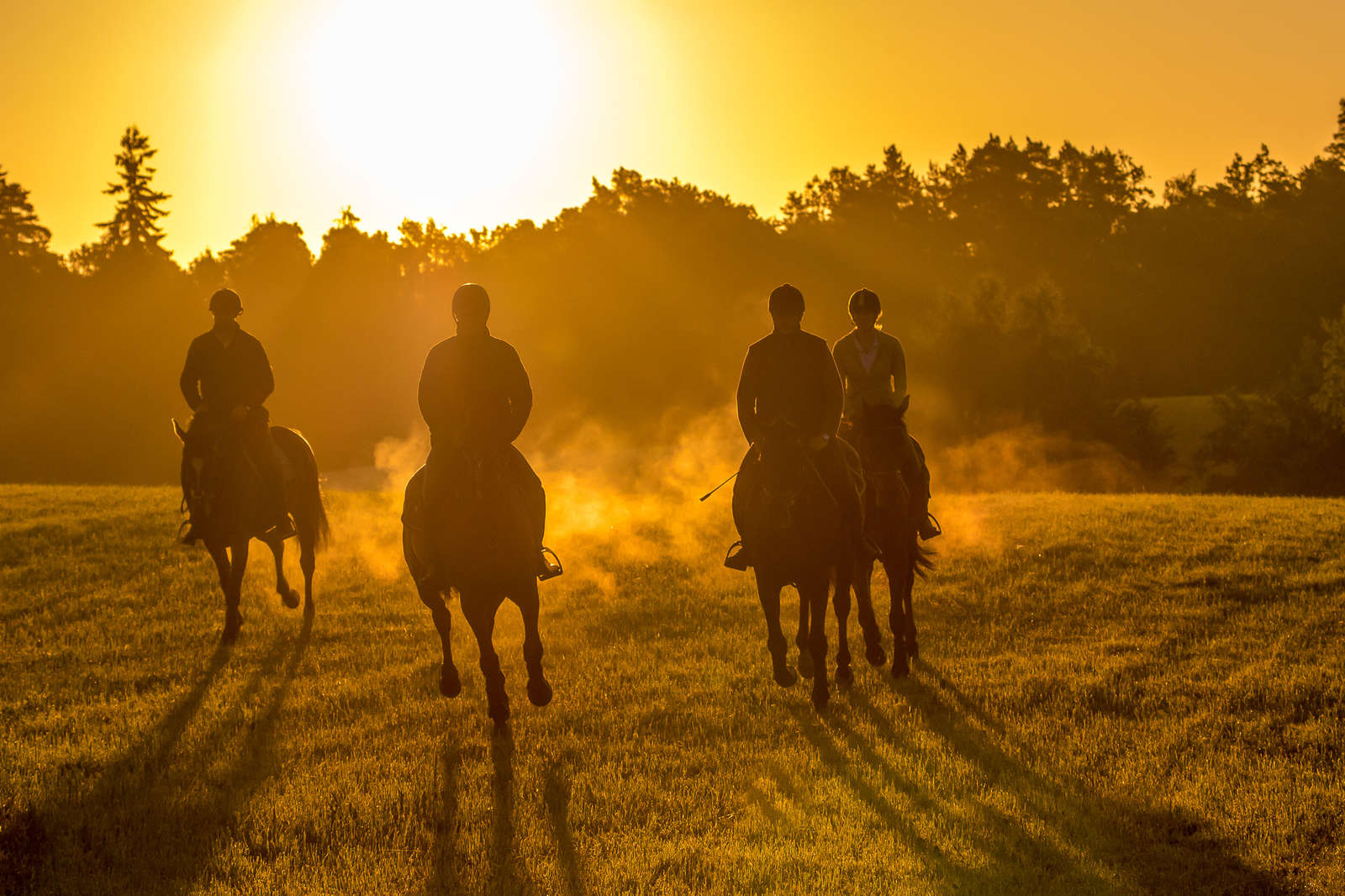 Partez à cheval pour une randonnée en Pologne
