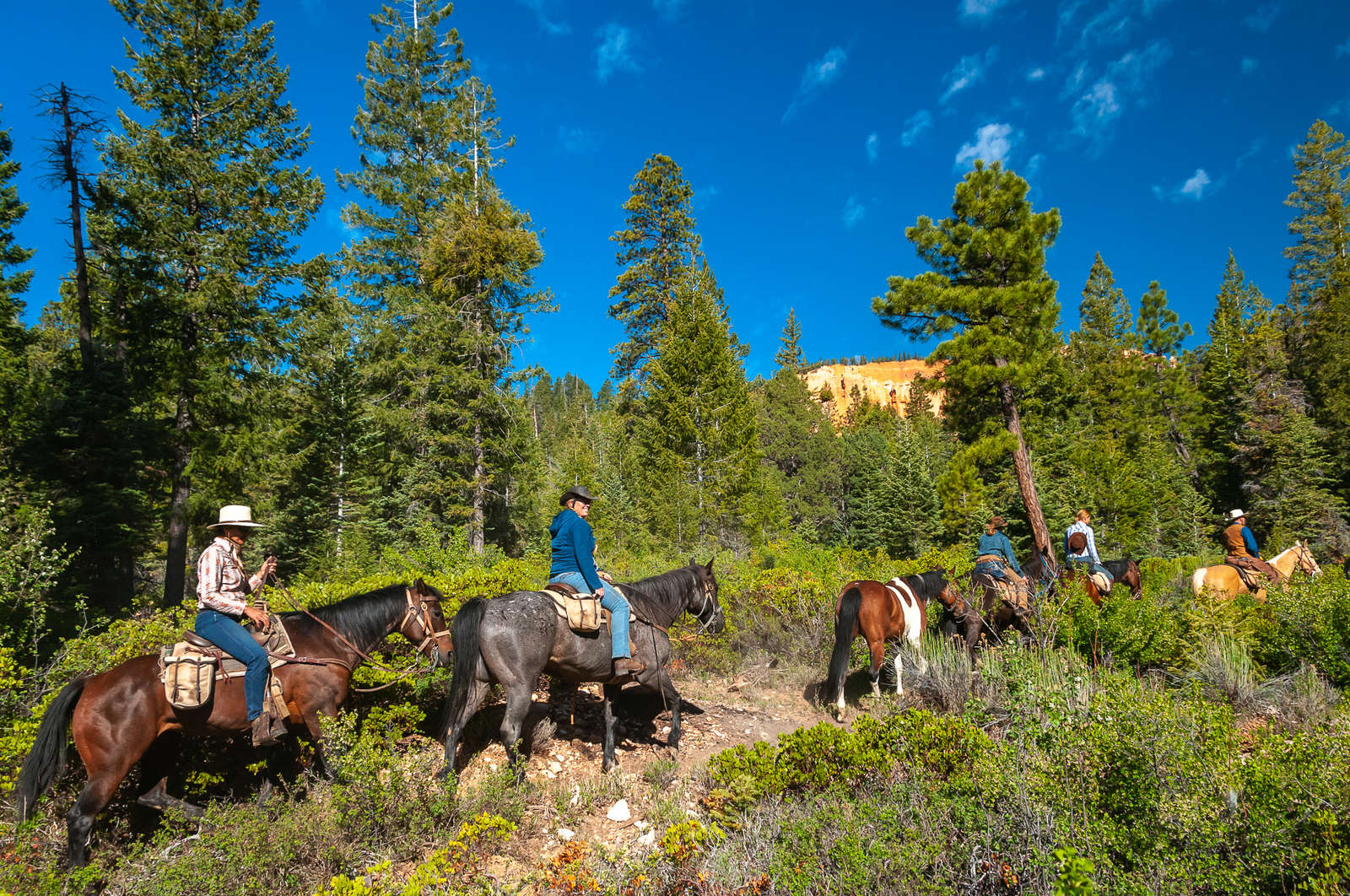 Parcourez à cheval les immensités sauvages des Etats-Unis