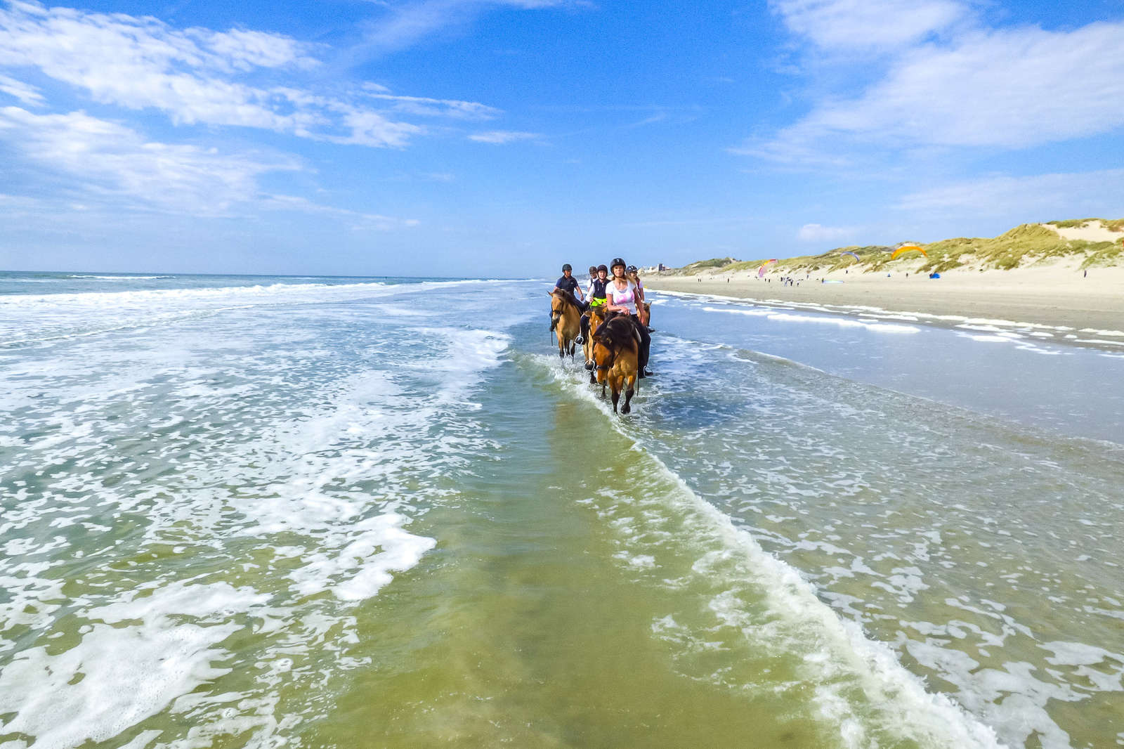 Partez découvrir les régions de France à cheval | Cheval d'Aventure