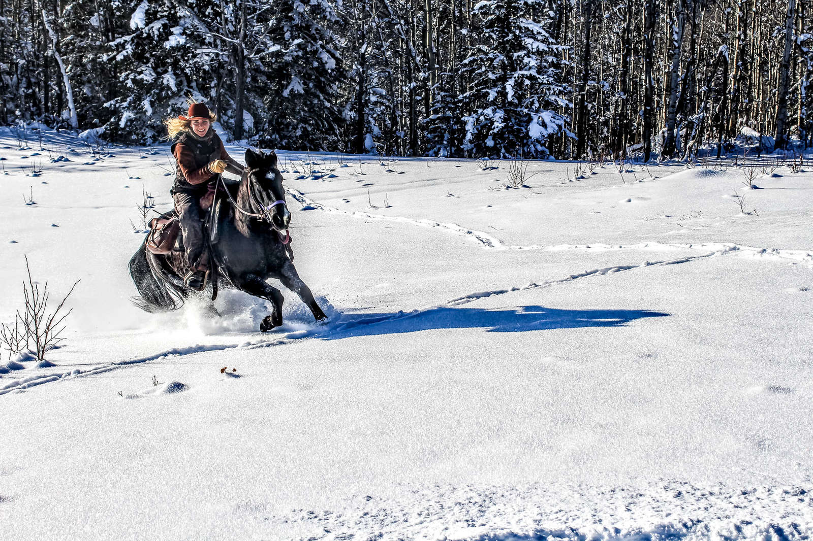 Randonnées à cheval dans l'ouest du Canada | Cheval d'Aventure