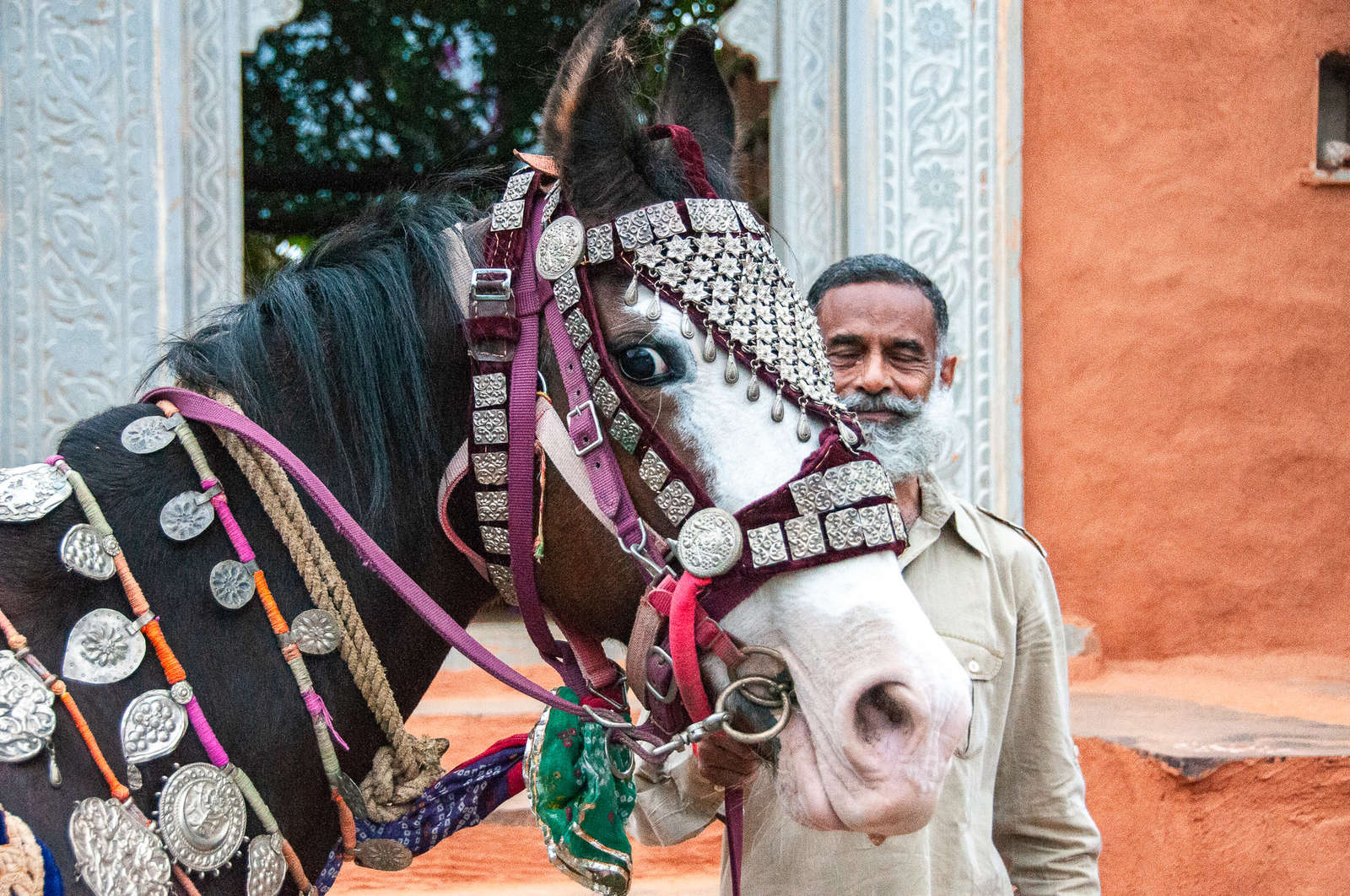Randonnez à cheval au Rajasthan en Inde