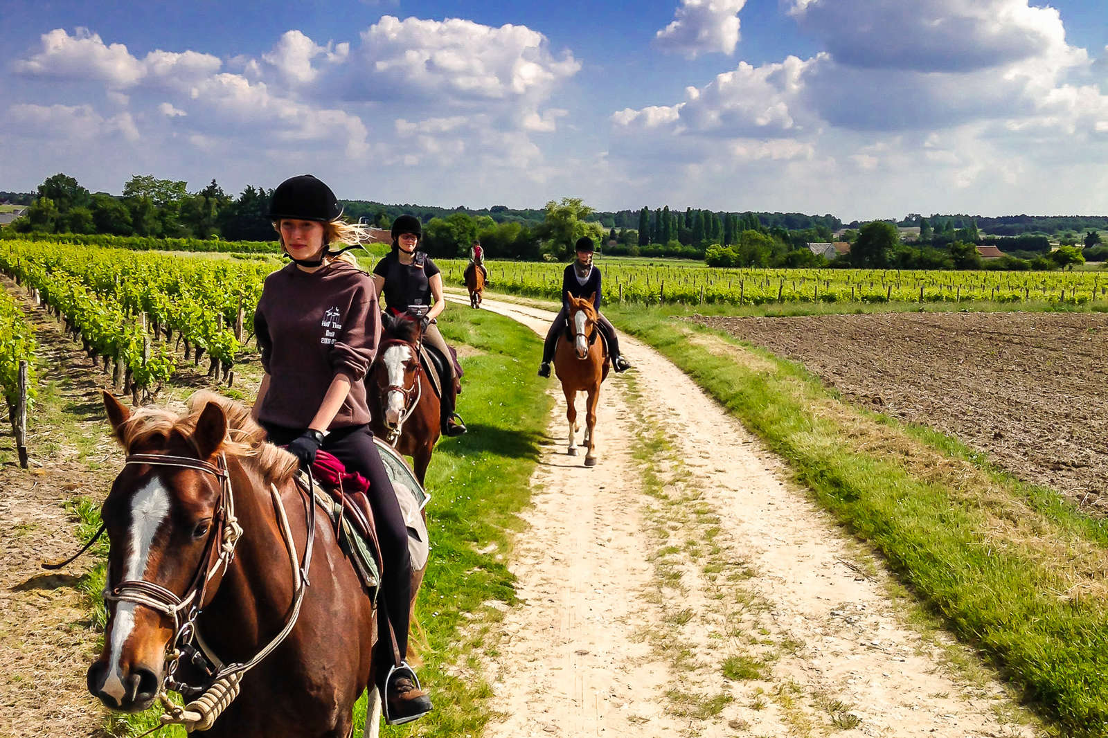 Rando à cheval : week-end dans les châteaux de la Loire | Cheval d'Aventure