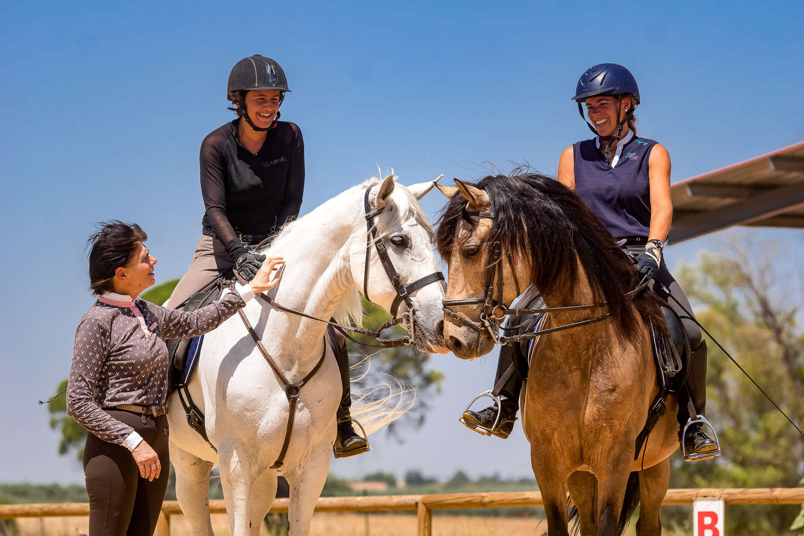 Séjour équestre avec dressage en Andalousie en Espagne