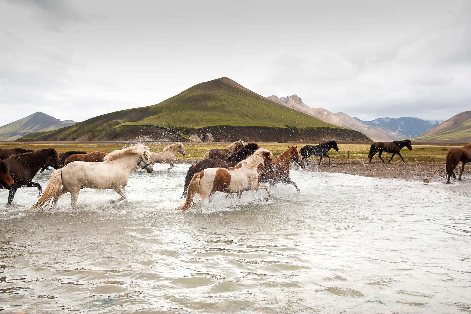 Rando à cheval en Islande : volcan et hauts plateaux | Cheval d'Aventure