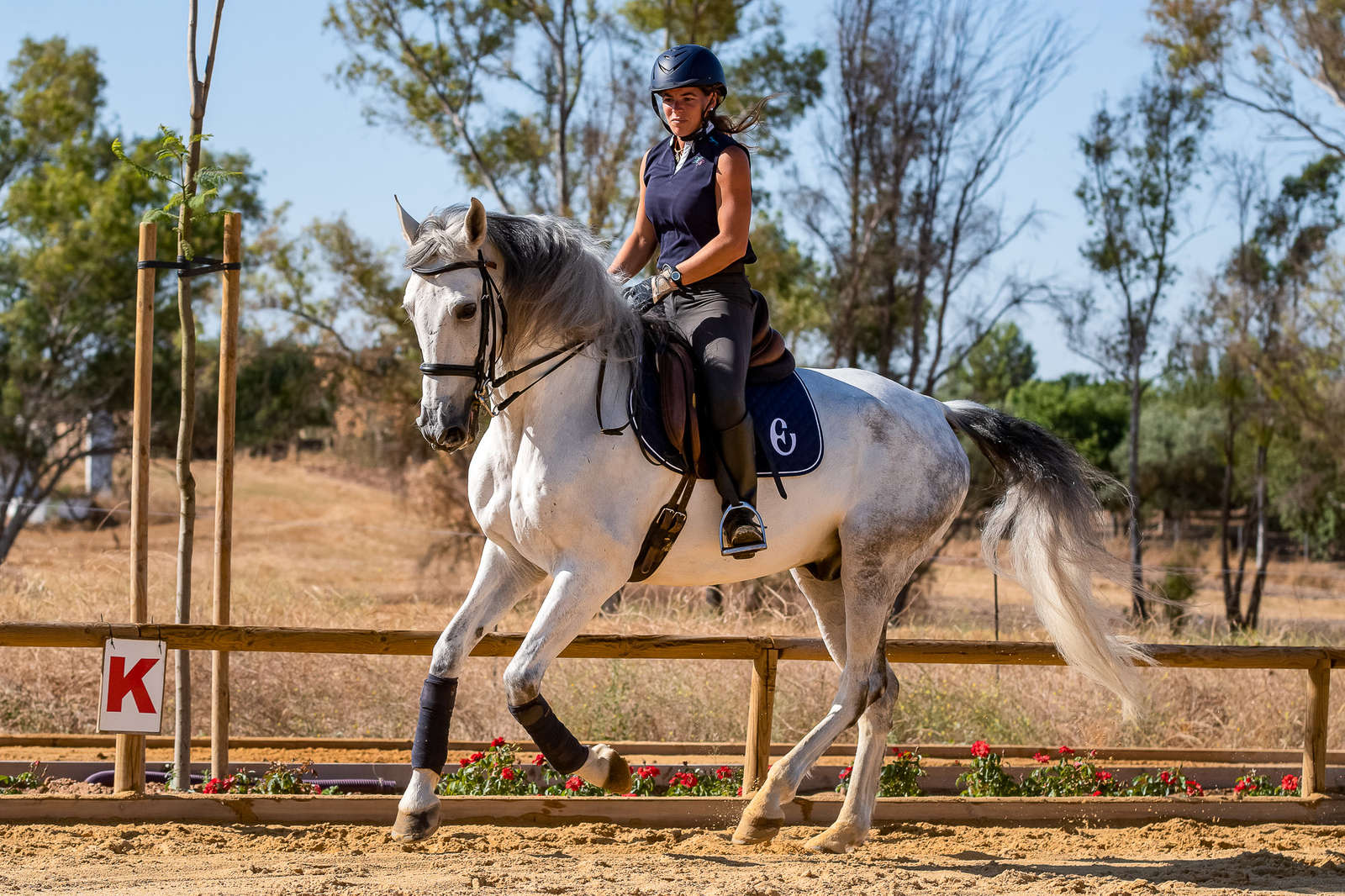 Séjour équestre avec dressage en Andalousie en Espagne