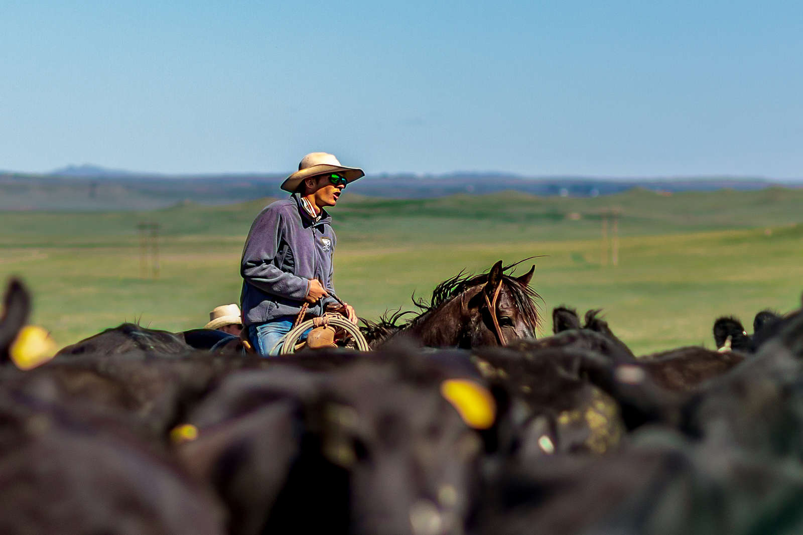 Séjour au Kara Creek, ranch de travail au Wyoming (USA) | Cheval d'Aventure