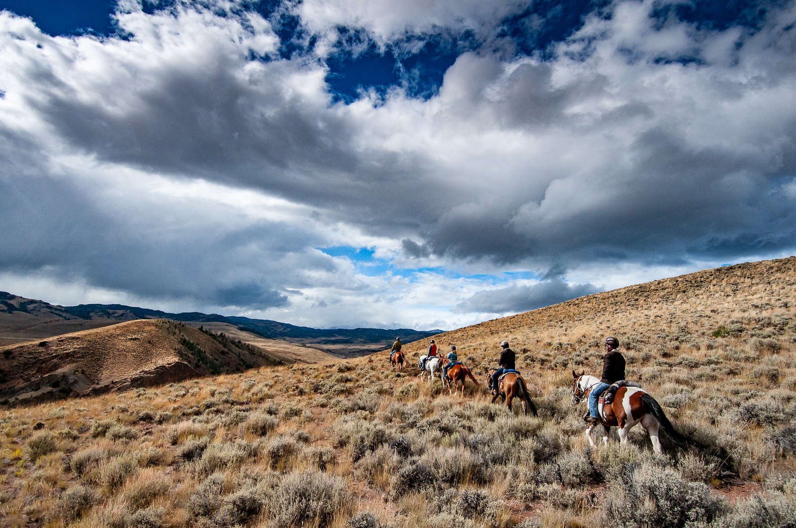 Participez à un séjour en ranch de travail