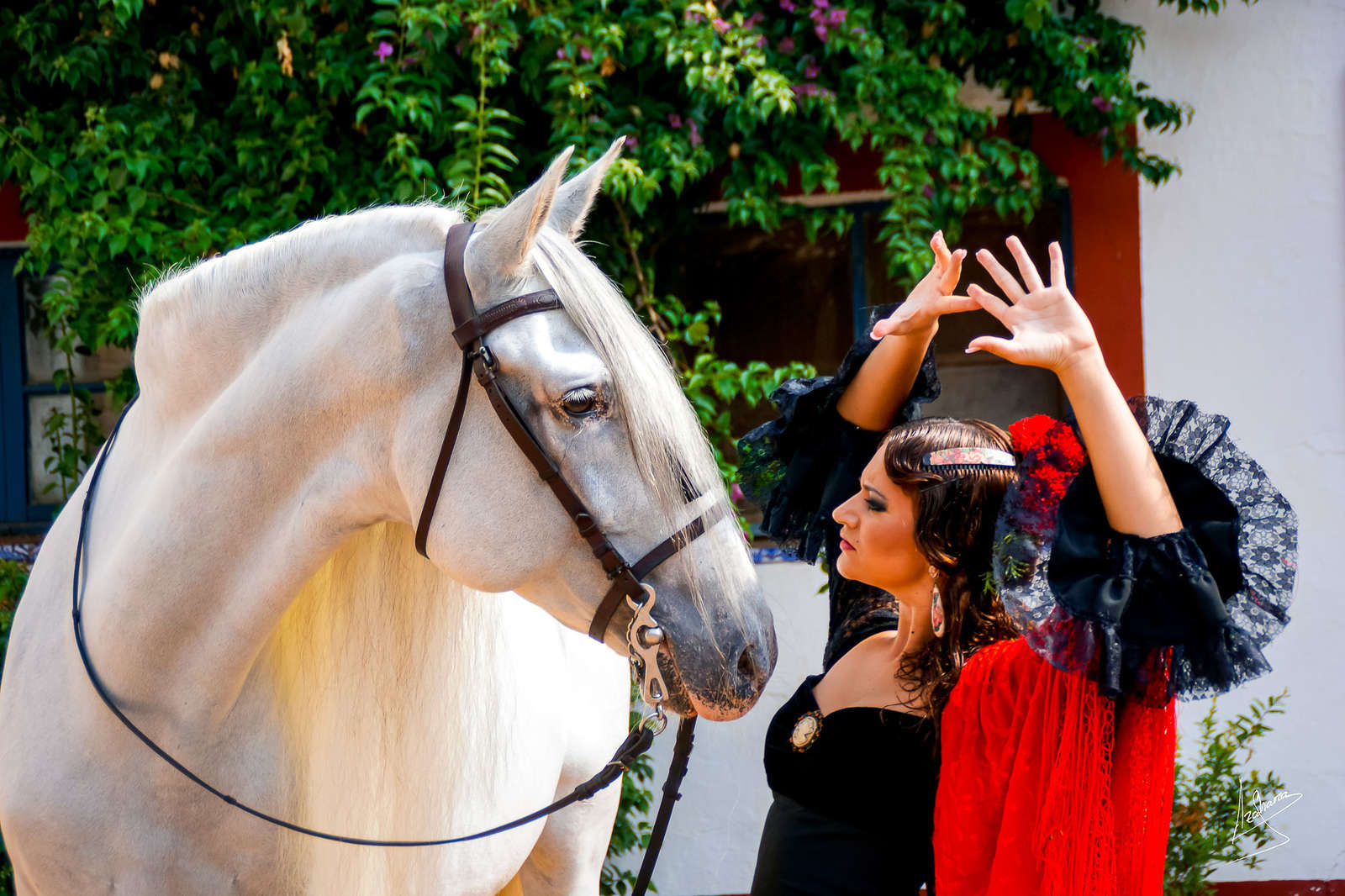 Séjour équestre avec dressage en Andalousie en Espagne
