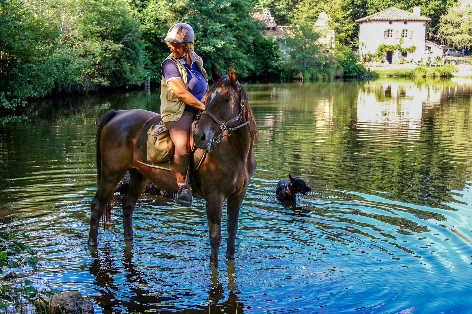 Découvrez à cheval le Poitou-Charente | Cheval d'Aventure