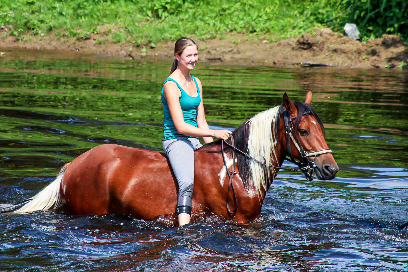 Découvrez à cheval le Poitou-Charente | Cheval d'Aventure