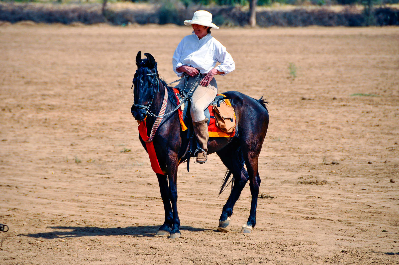 Rando à cheval dans les palais du Shekhawati en Inde | Cheval d'Aventure