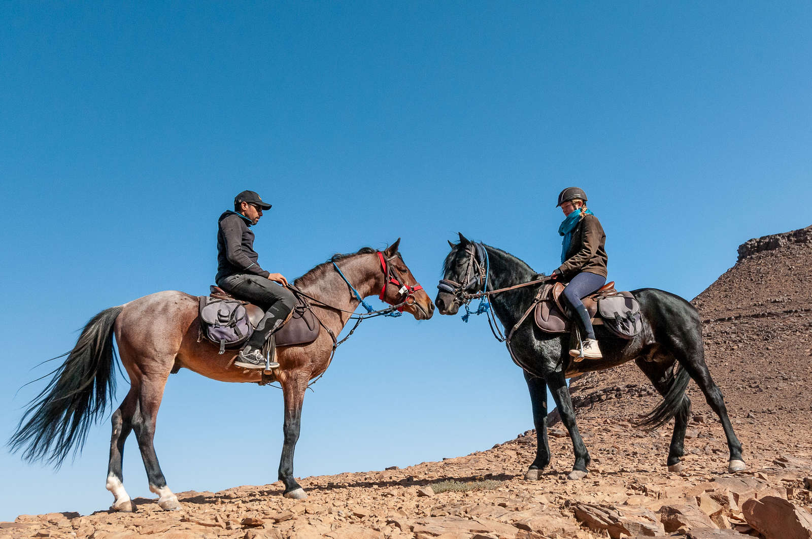 Les randonnées à cheval dans le désert marocain | Cheval d'Aventure