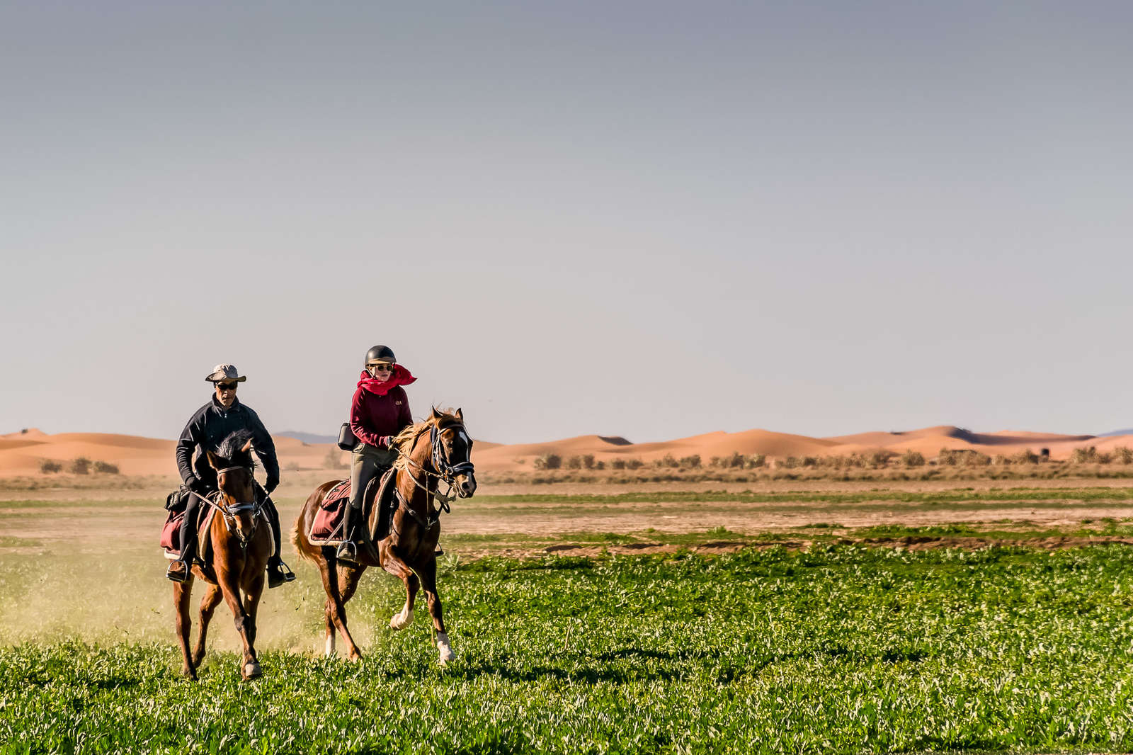 Rando à cheval en immersion dans le désert au Maroc | Cheval d'Aventure