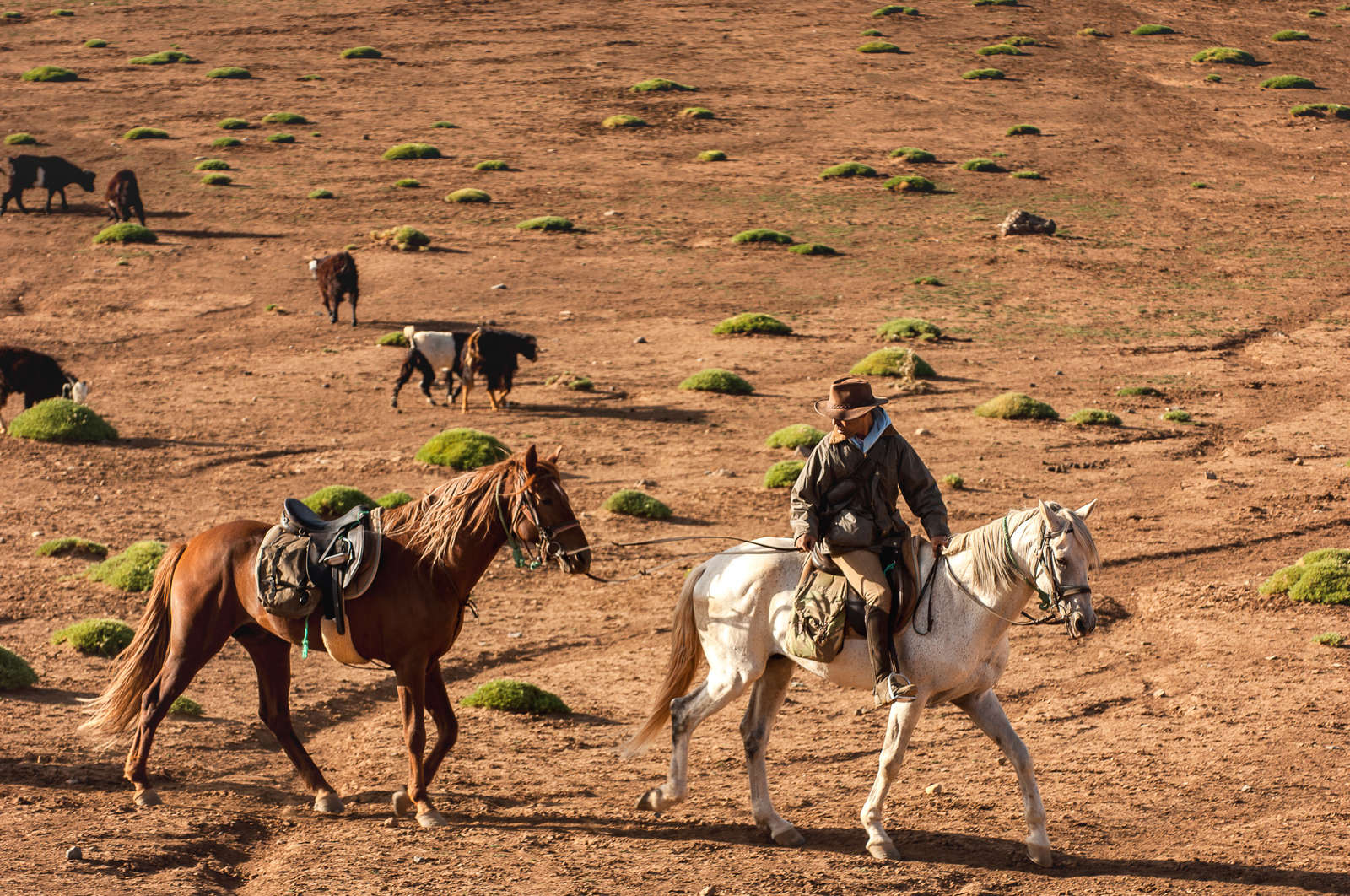 Randonnée à cheval dans le massif du Siroua au Maroc | Cheval d'Aventure