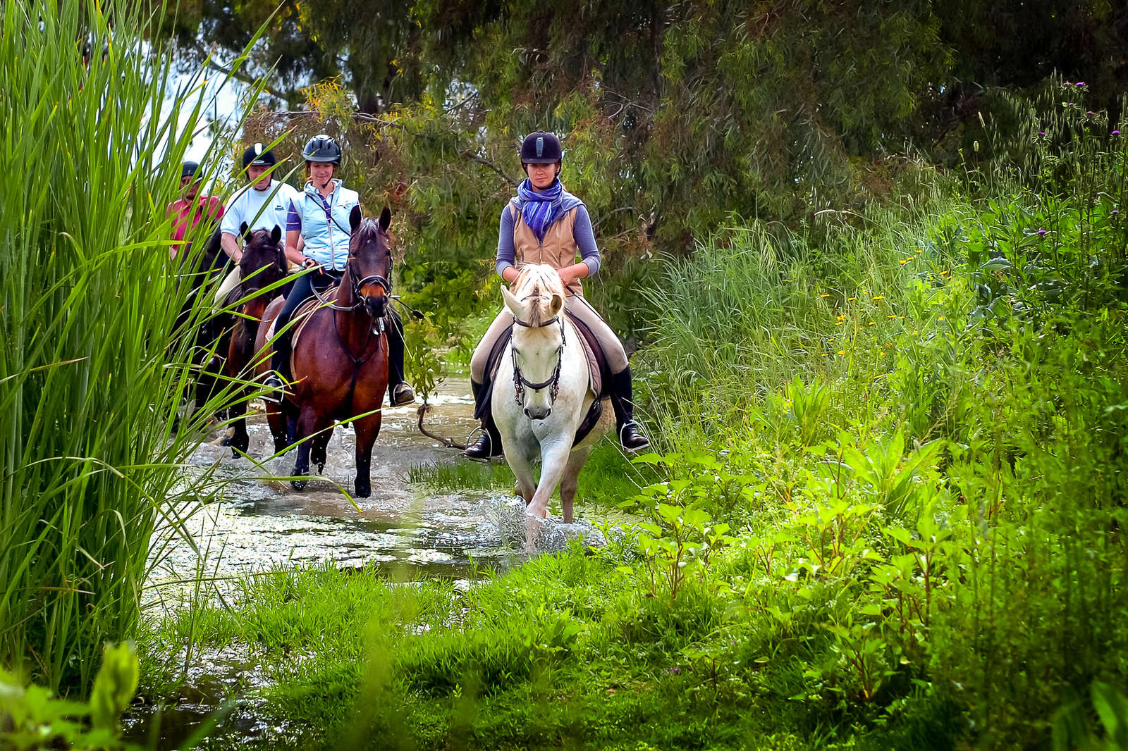 Séjour équestre avec dressage en Andalousie en Espagne