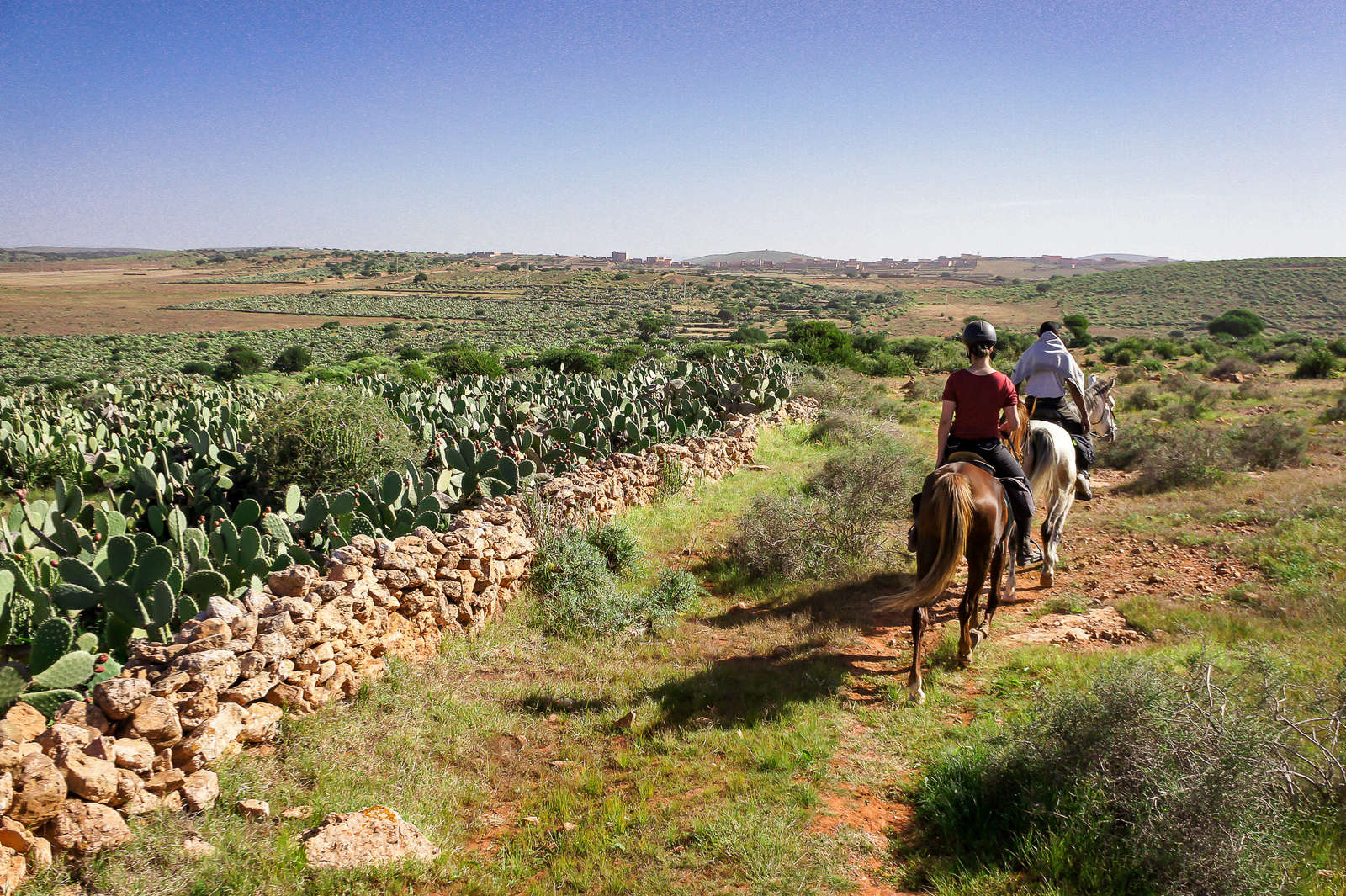 Séjour équestre et randonnée à cheval au Maroc Atlas | Cheval d'Aventure