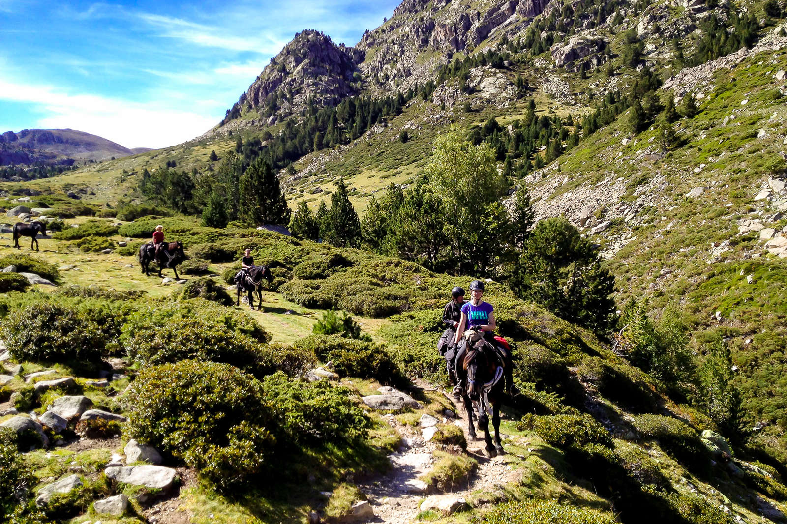 Randonnée à cheval en haute montagne dans les Pyrénées | Cheval d'Aventure
