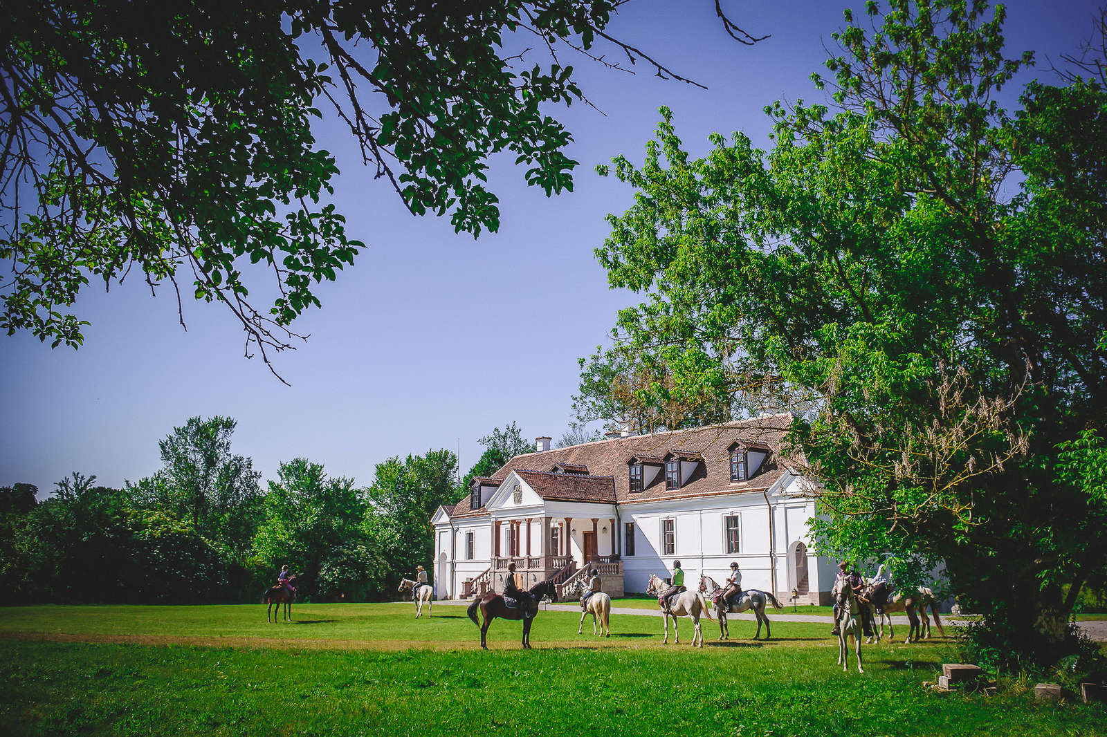 Randonnée à cheval : découverte de la Transylvanie | Cheval d'Aventure