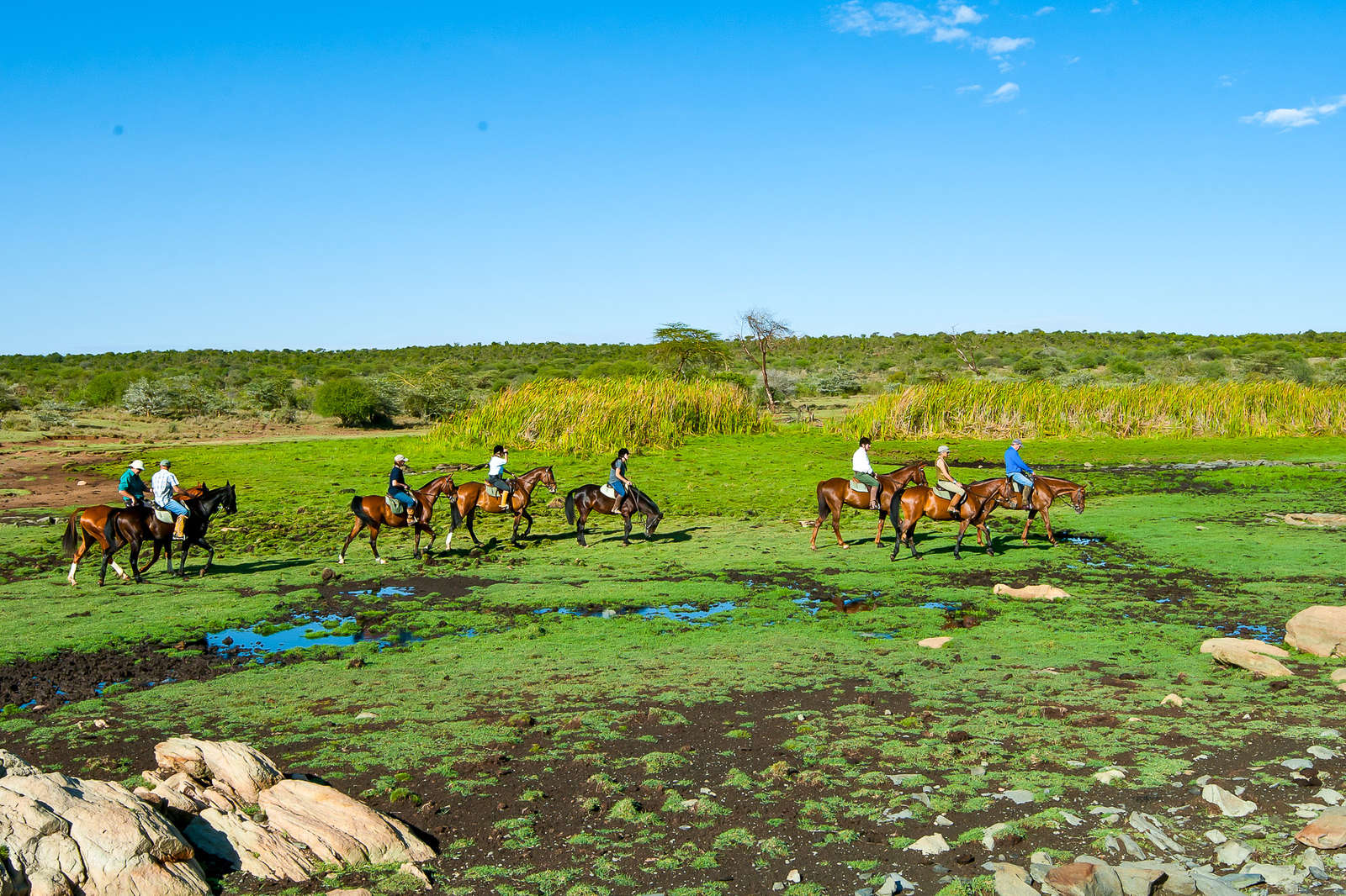 Safari équestre et séjour en ranch privé, au Kenya | Cheval d'Aventure