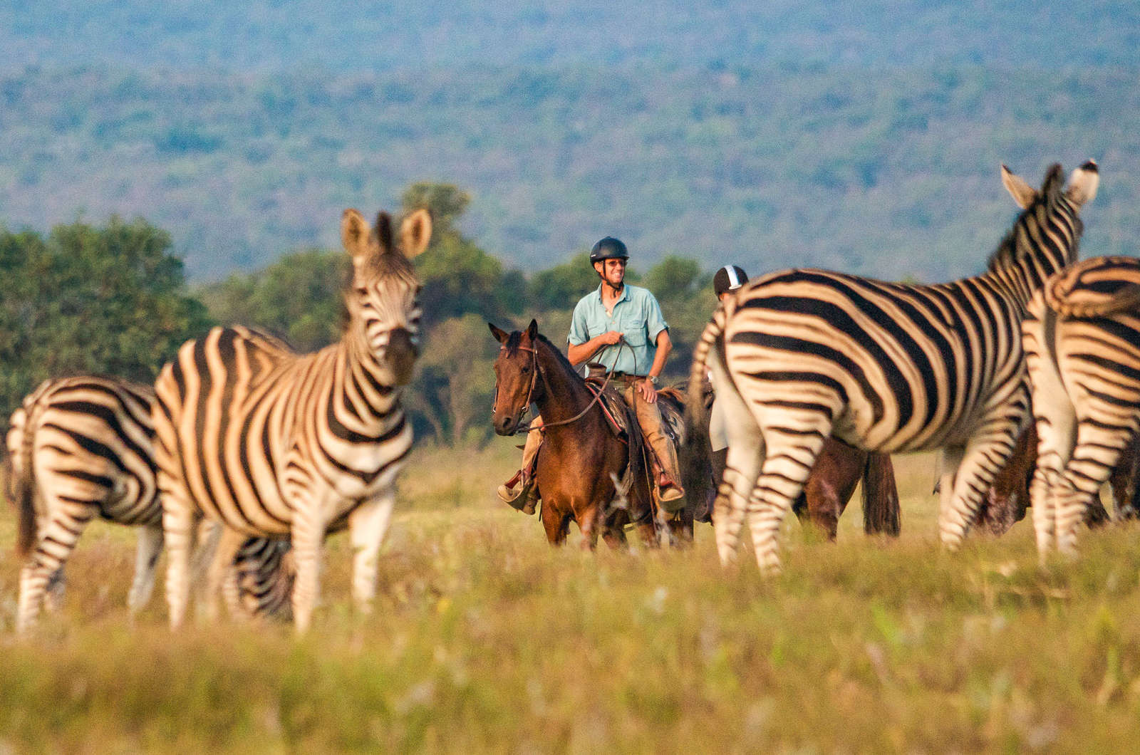 Safari à cheval en Afrique du Sud et au Botswana. | Cheval d'Aventure