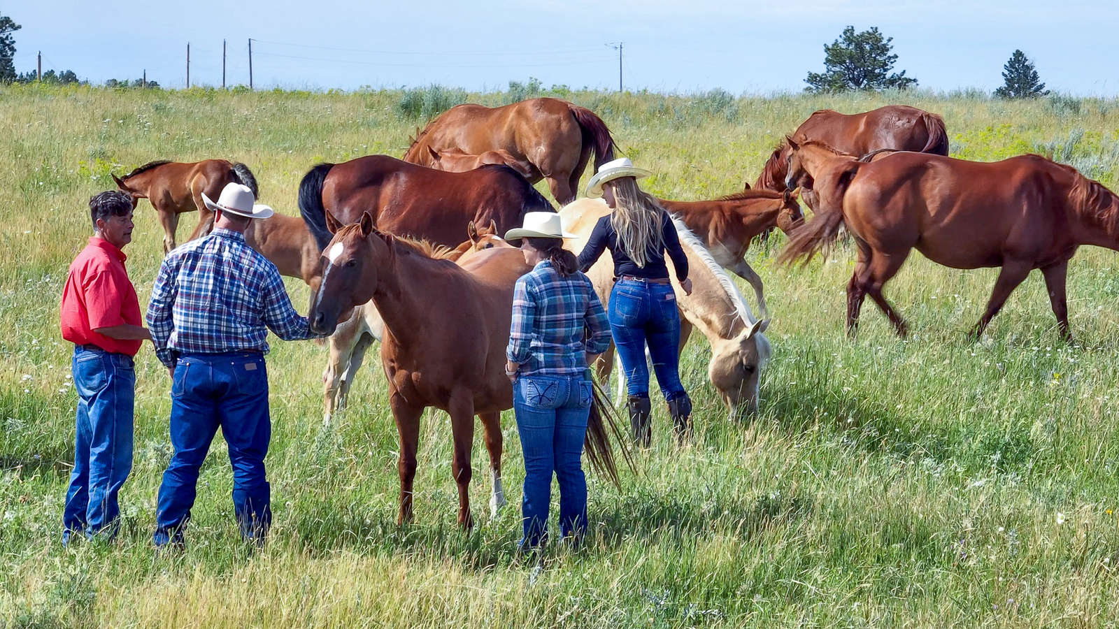 Séjour à cheval dans un ranch du Wyoming aux États-Unis | Cheval d'Aventure