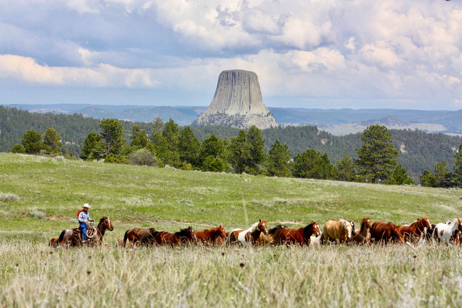 Séjour à cheval dans un ranch du Wyoming aux États-Unis | Cheval d'Aventure