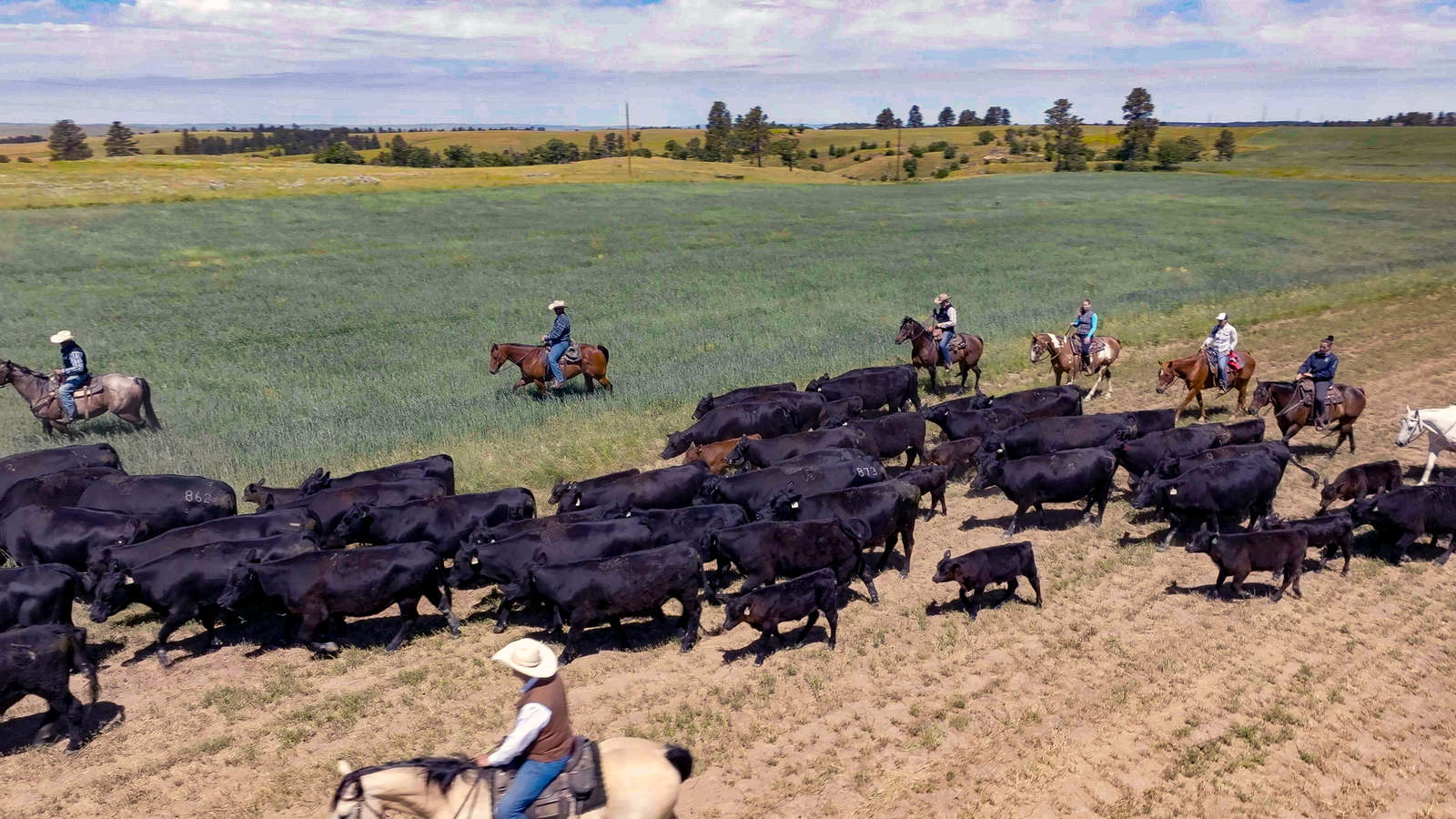 Séjour à cheval dans un ranch du Wyoming aux États-Unis | Cheval d'Aventure