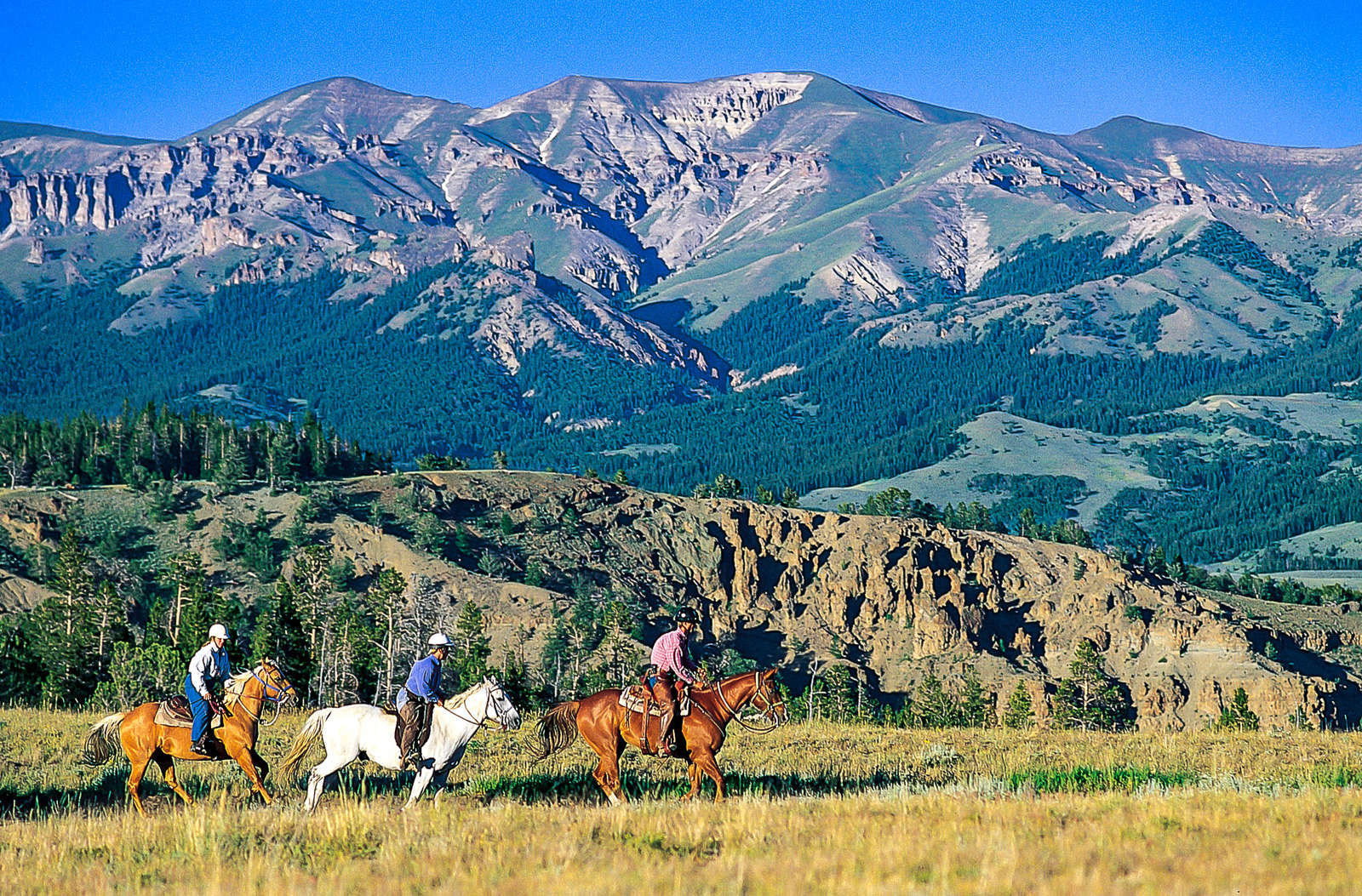 Randonnée à cheval au cœur des montagnes du Wyoming | Cheval d'Aventure