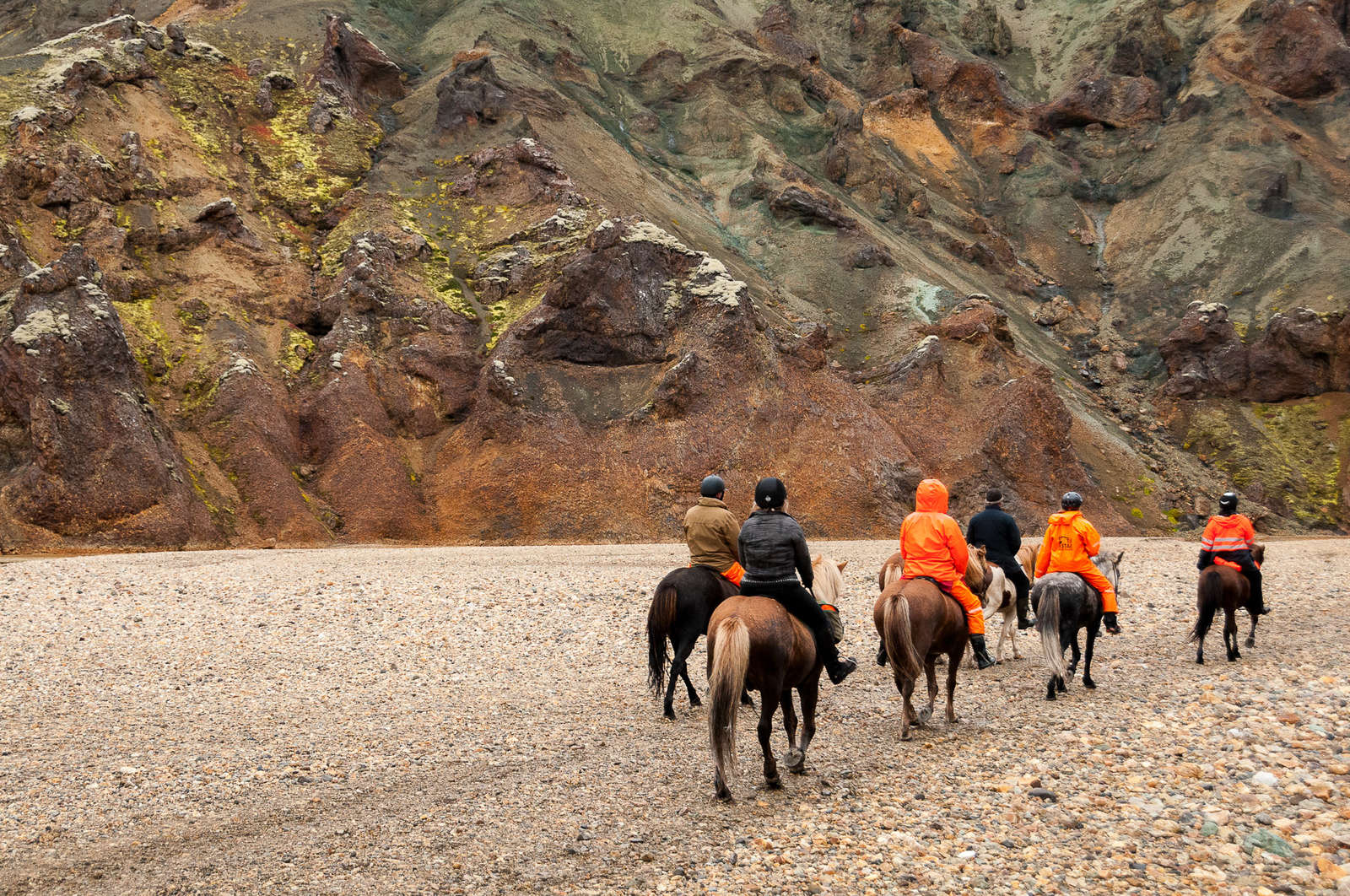 Chevauchez en Islande avec des chevaux en liberté | Cheval d'Aventure