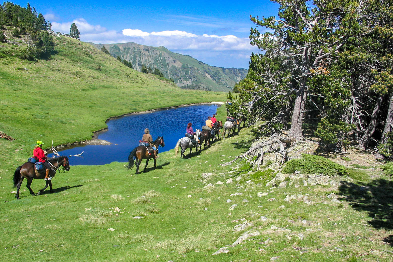 Randonée à cheval : la transhumance dans les Pyrenées | Cheval d'Aventure