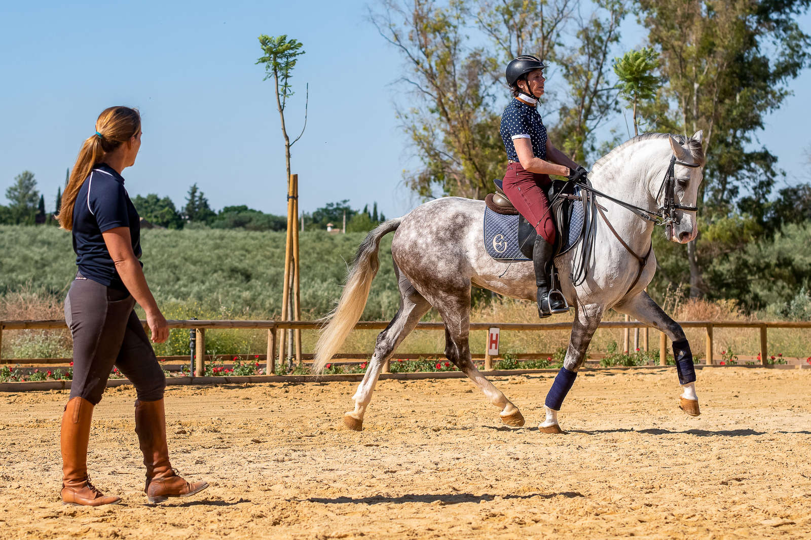 Stage de dressage et perfectionnement en Andalousie