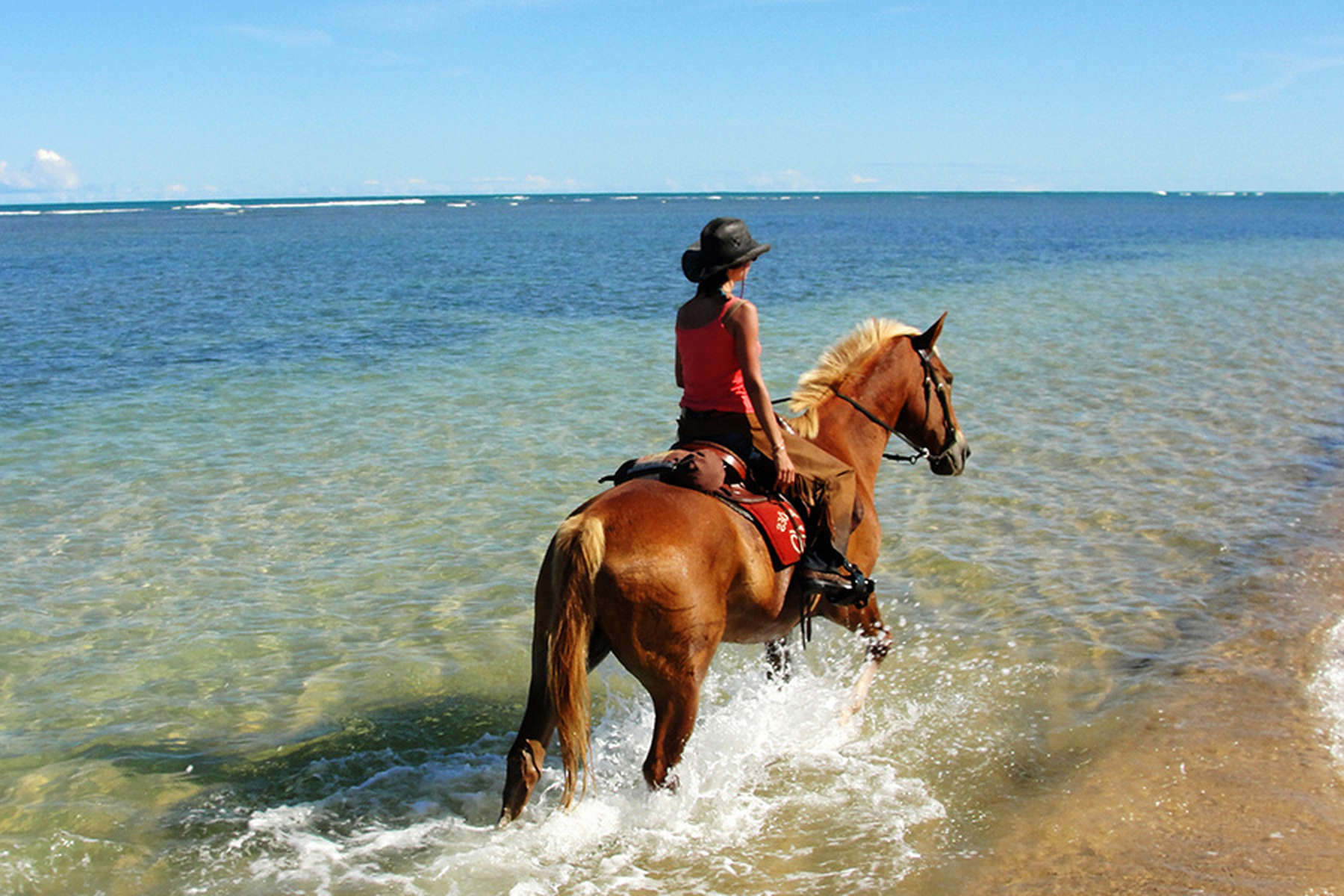 Partez sur une chevauchée en bord de mer | Cheval d'Aventure