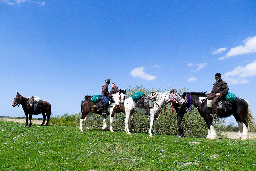 Randonnée à cheval dans la baie de Somme en Picardie