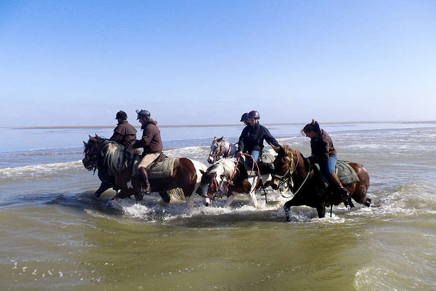 Randonnée à cheval dans la baie de Somme en Picardie